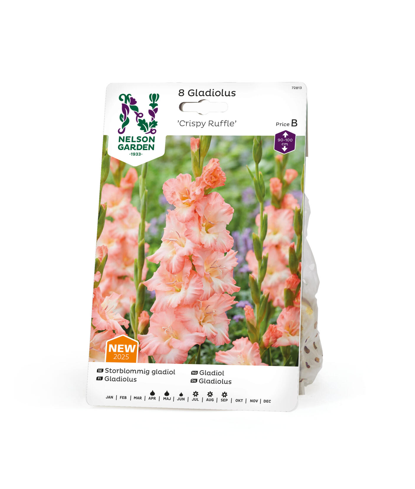Gladiol 'Princess Lee' - Gladiolus, 8 stk. - Garden Living
