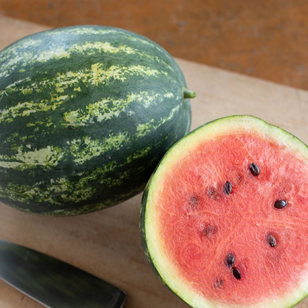Melon 'Mini Love' F1 - Cucumis melo - Garden Living